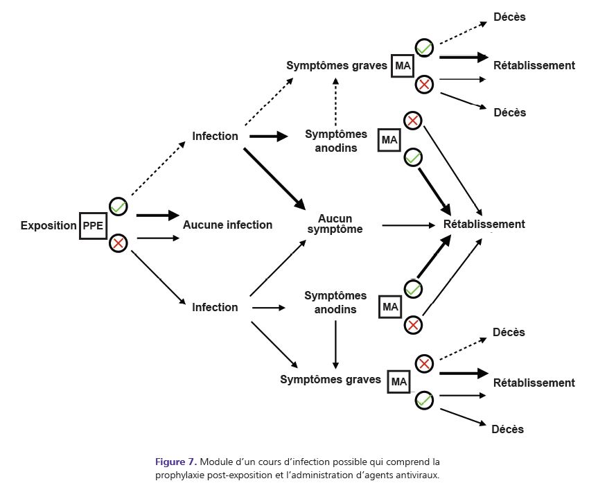 modelFR7 – Centre de collaboration nationale des maladies infectieuses