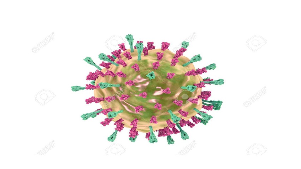 les oreillons – Centre de collaboration nationale des maladies infectieuses